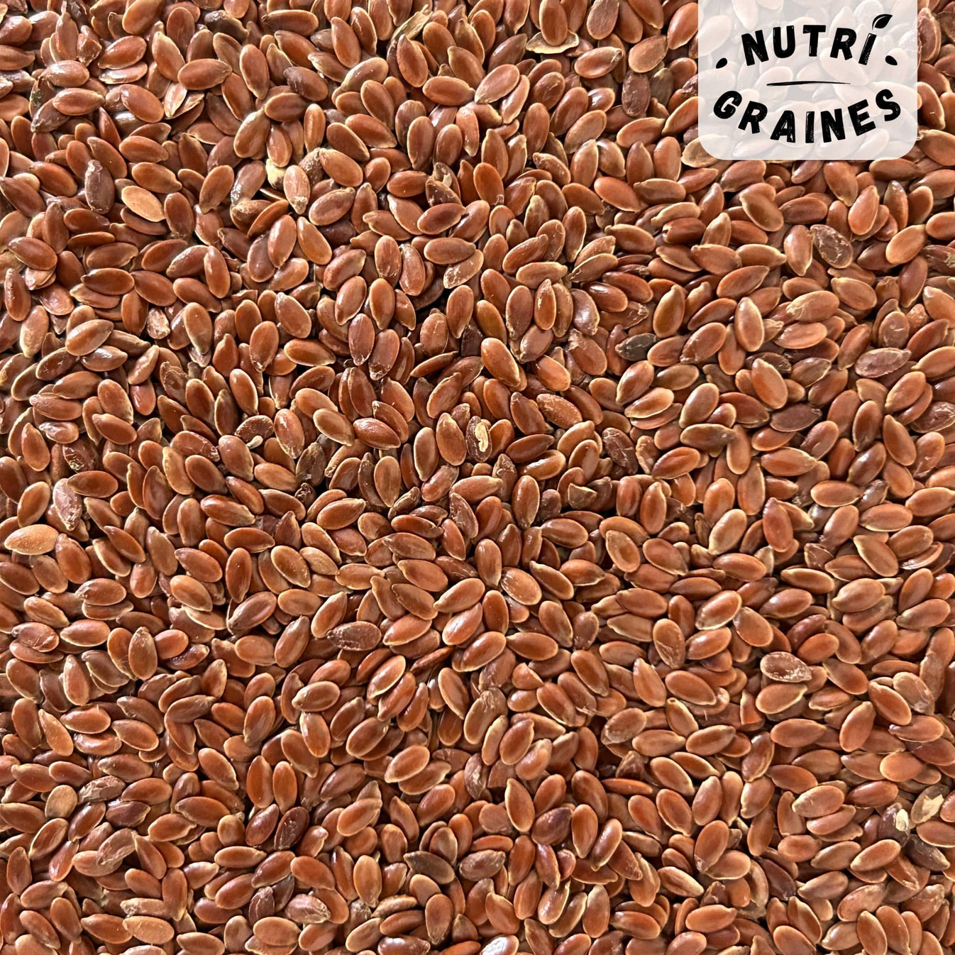 Graines de lin brun Origine France – NUTRI-GRAINES